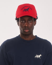 Siegelman Stable Hat